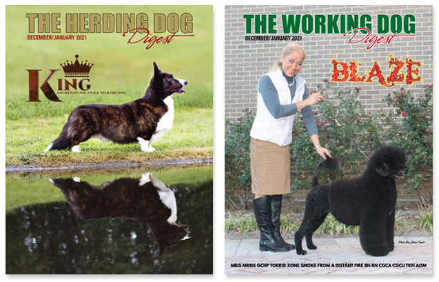 Working Dog Herding Dog Digest